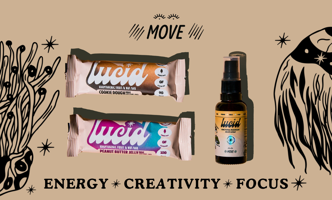 Lucid Premium Functional Mushroom & Adaptogen Snack Bars